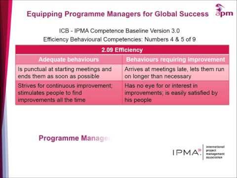O Olhar de Competência da IPMA: Uma Abordagem Eficiente para o ...